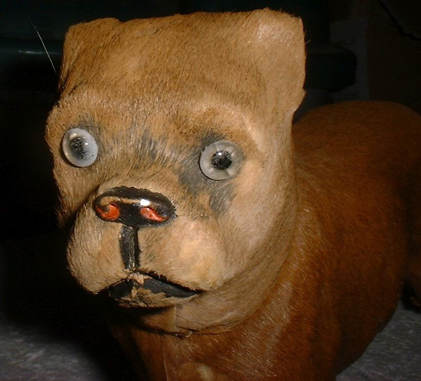 VNTG Paper Mache * Boxer * Bull Dog ? * Sculpture * Glass Eyes * FUR ...