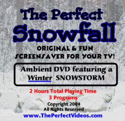 The Perfect Snowfall Snow DVD Winter SNOWSTORM Video Blowing Snow ...