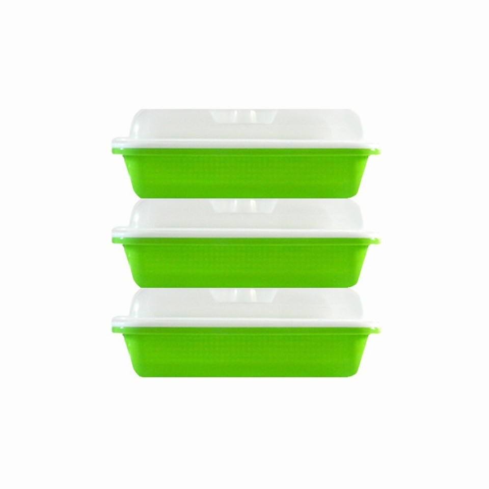 Plateau de germination passionn??s de jardinage pousses cultiv??es ...