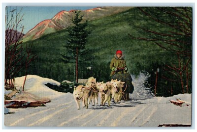 c1940 Team Ed Clark's Eskimo Sled Dogs Action Woodstock New Hampshire ...