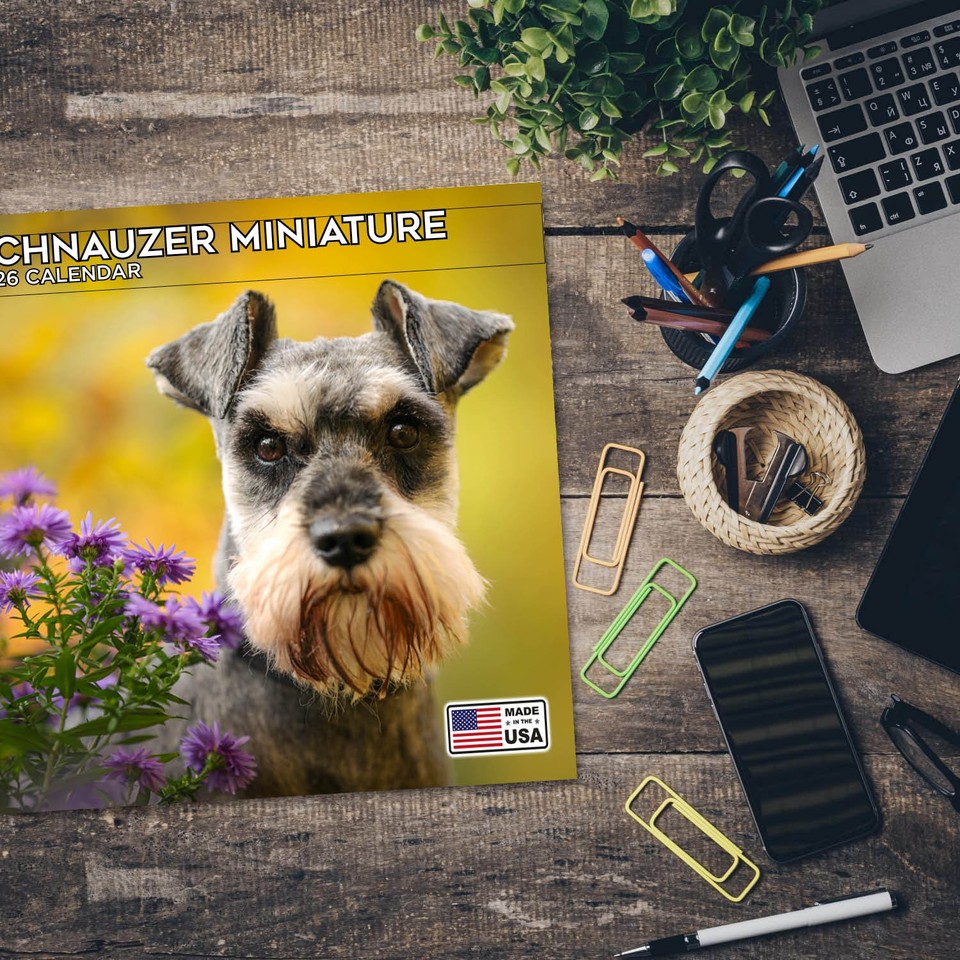 Miniature Schnauzer Calendar 2026 - Dog Breed Wall Calendar - Made in ...