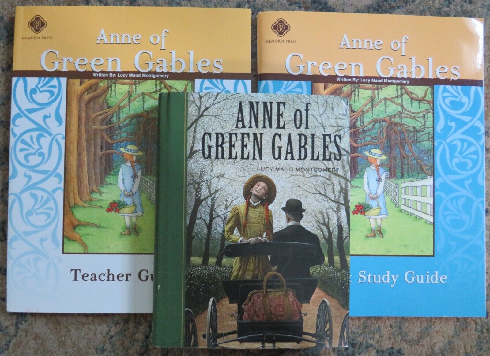 Anne of Green Gables Study Guide and chapter book by Lucy Maud ...