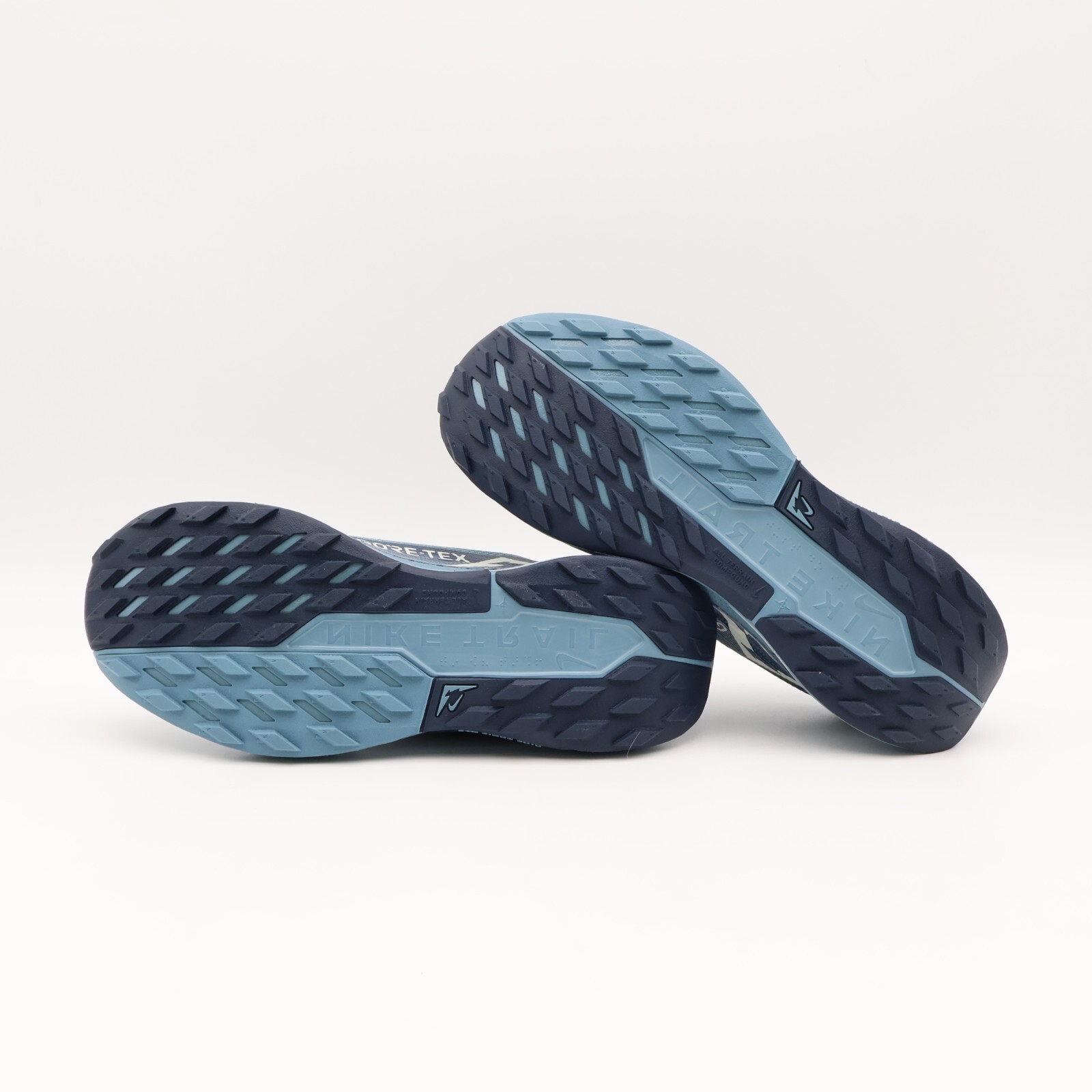 FQ0908-005 Nike Pegasus Trail 5 GORE-TEX Smokey Blue Light Silver (Men ...