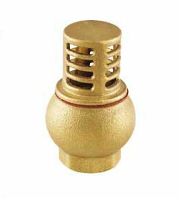 NON RETURN FOOT VALVE BRASS BSP 1 1/2" 40mm GENERAL PURPOSE | eBay ...