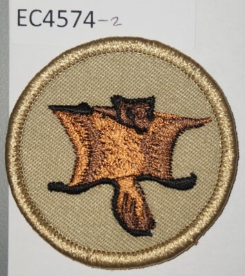 Boy Scout Flying Squirrel Custom Patrol Patch | eBay