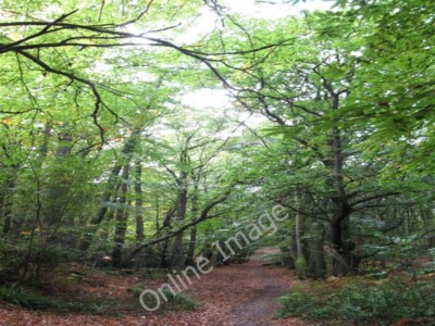 Photo 6x4 College Ride Bagshot Camberley Shortly after leaving the ...