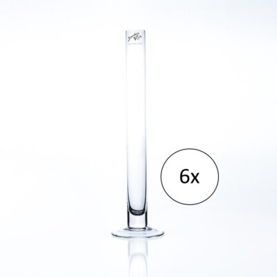 Set Di 6 Provette Vasi In Vetro SOLIFLEUR Con Base H. 30Cm D. 3Cm ...