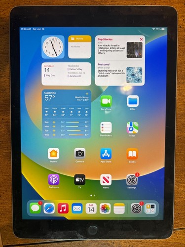 Apple iPad Pro (9.7-inch) A1674 32 GB, Wi-Fi , 9.7 in - Space Gray | eBay