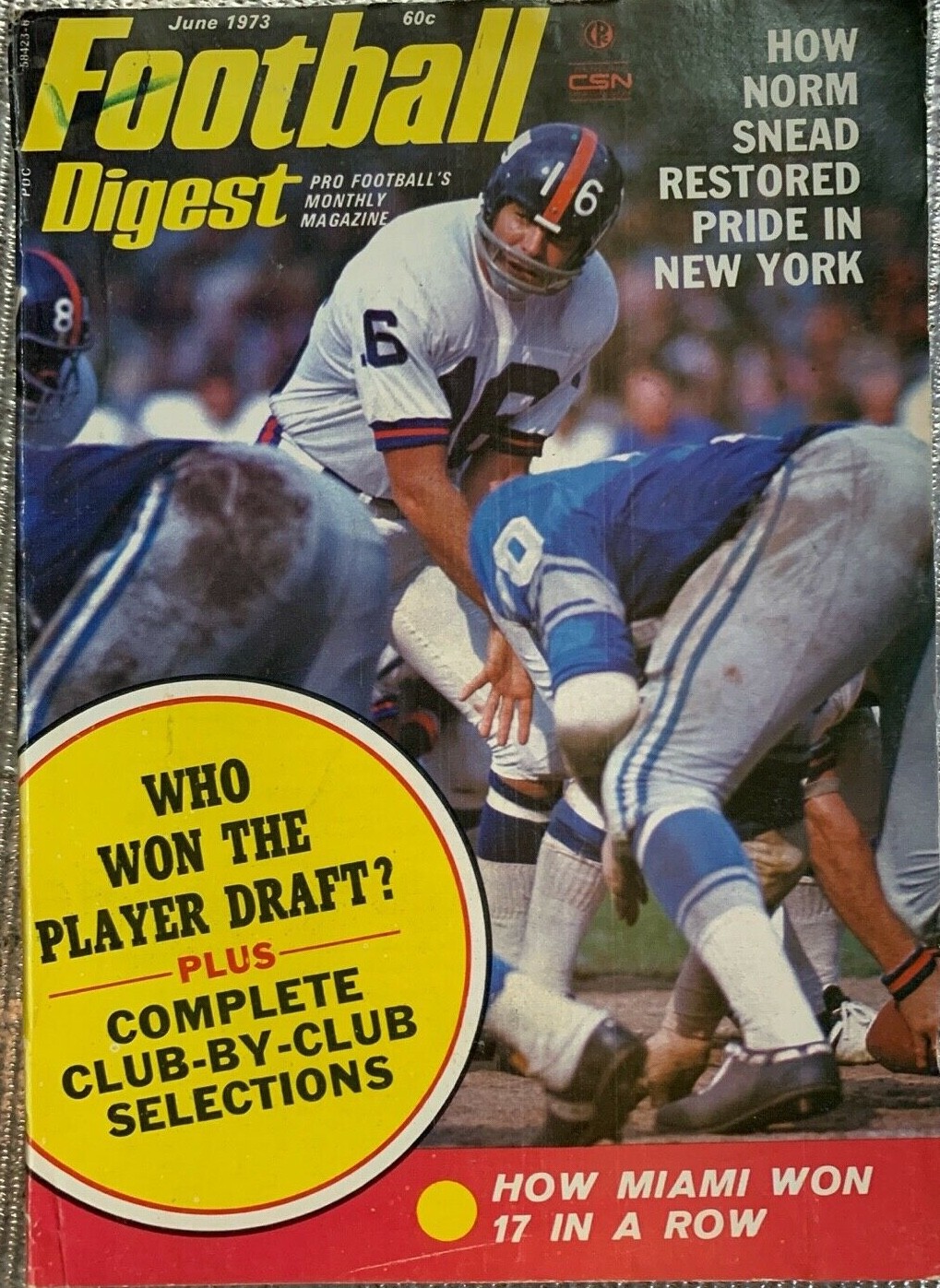 1973 FOOTBALL DIGEST - Norm Snead - New York Giants | eBay