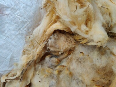 Organic Sheep Wool for Lining Hanging Baskets (500g), Eco Friendly ...