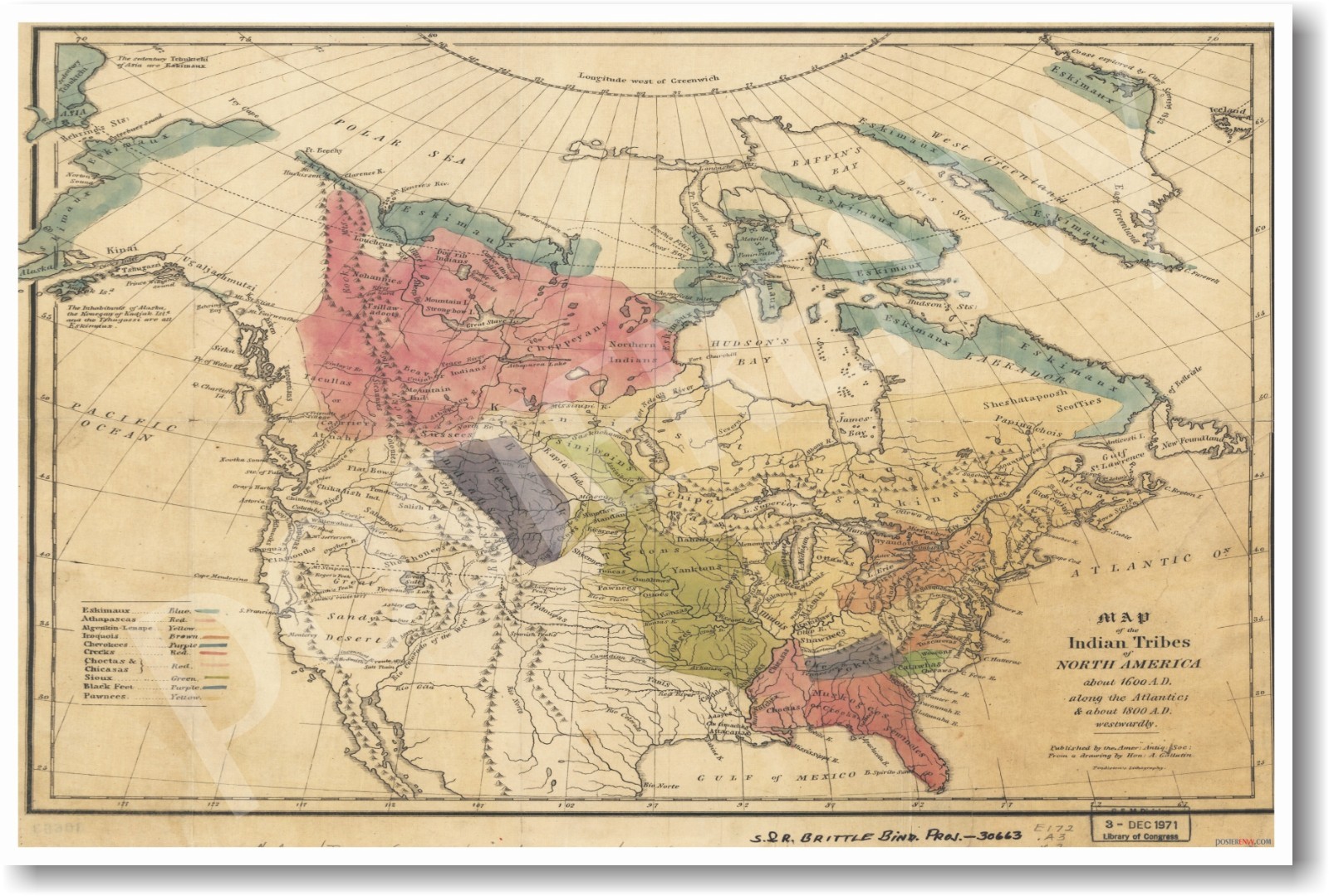 NEW Social Studies Classroom POSTER - | Grelly USA