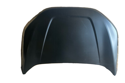 For 2019 2020 2021 2022 2023 Ford Edge Hood Aluminum FO1230330 Brand New | eBay