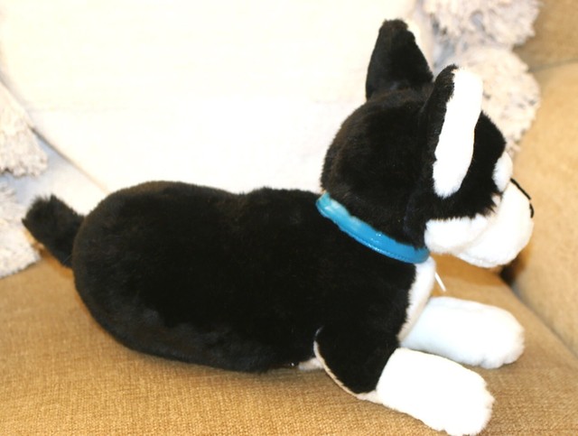 NINTENDO NINTENDOGS PET AND PLAY PUP BLACK WHITE AND BLUE EYED SIBERIAN ...