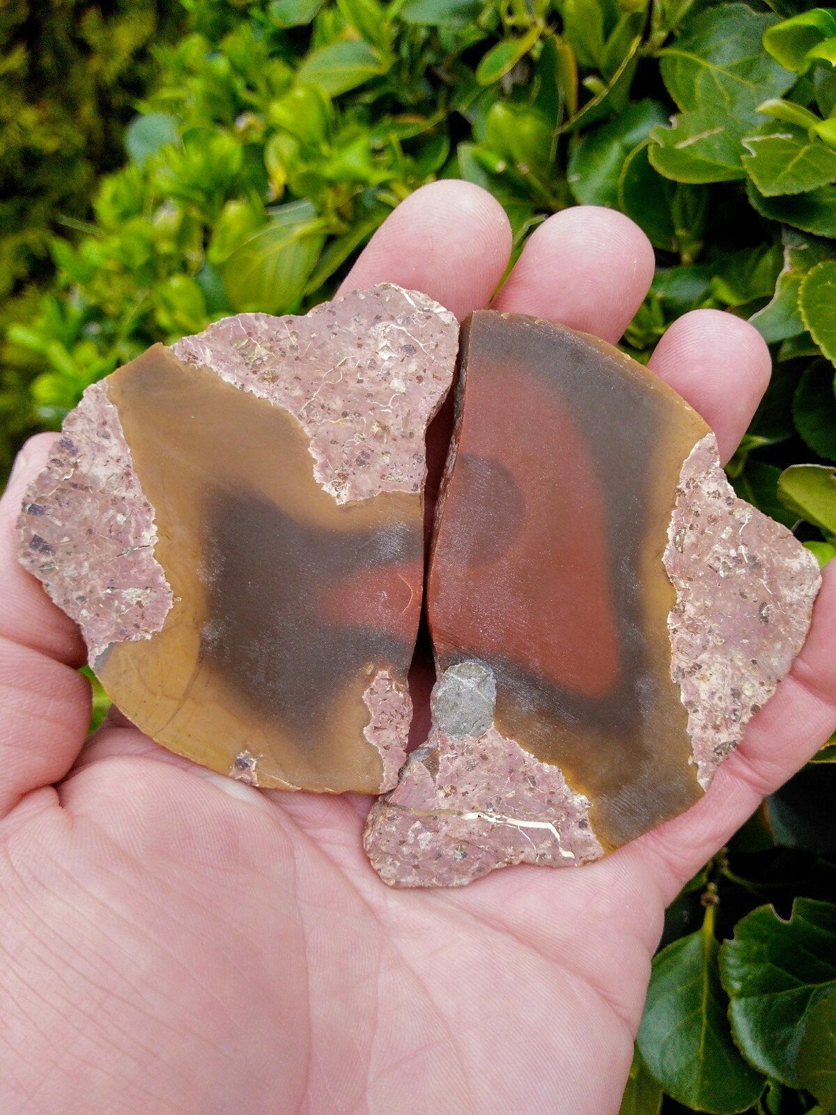 TWO (2) ATYPICAL RARE BRUNEAU IDAHO JASPER SLABS RED, YELLOW, GREEN ORB ...