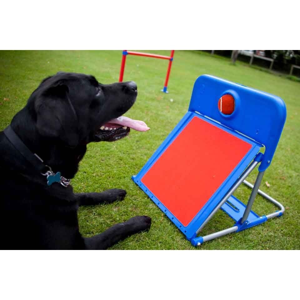 Rosewood Dog Flyball Set | eBay UK