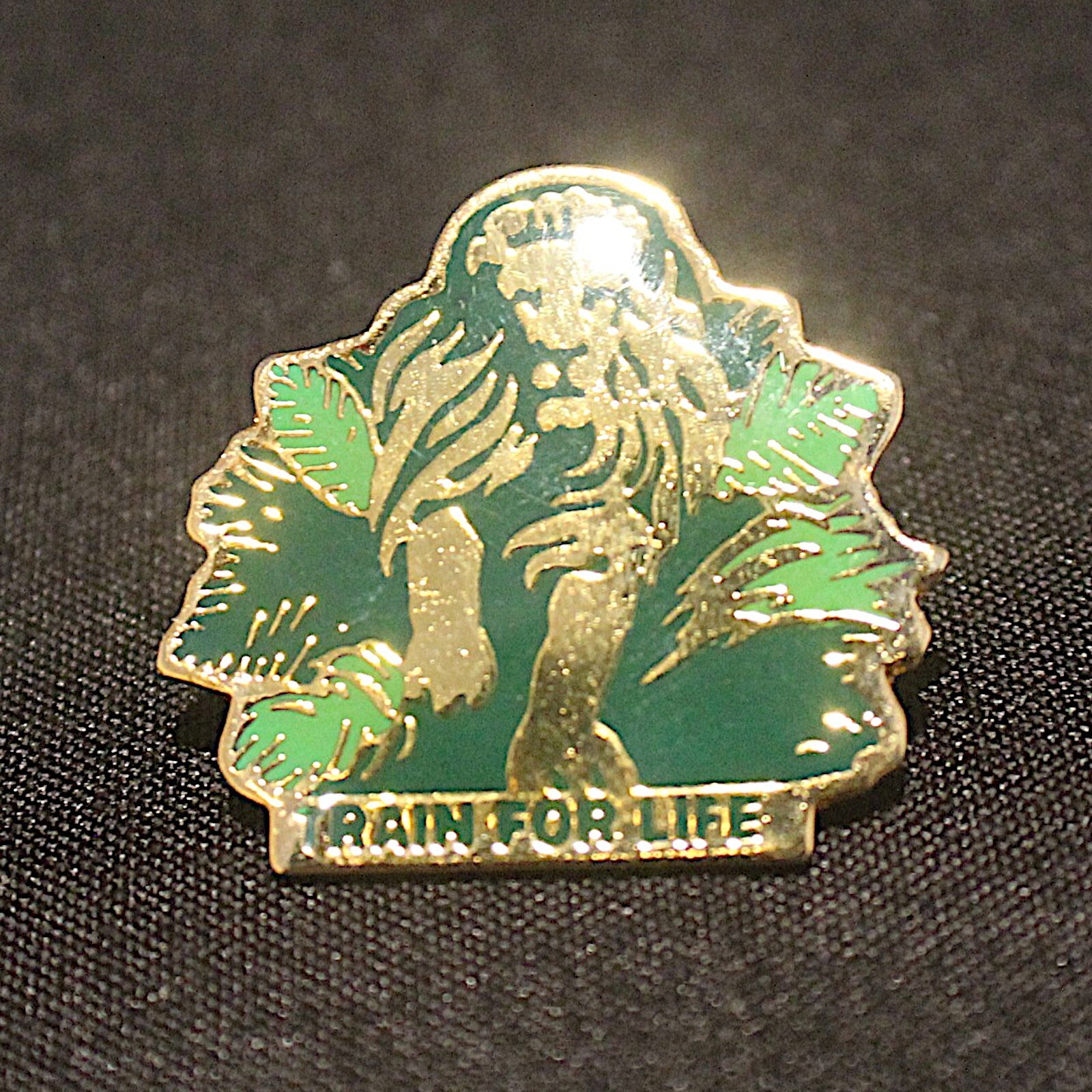 L Ron Hubbard Scientology Jewelry Lapel Pin Train For Life | eBay