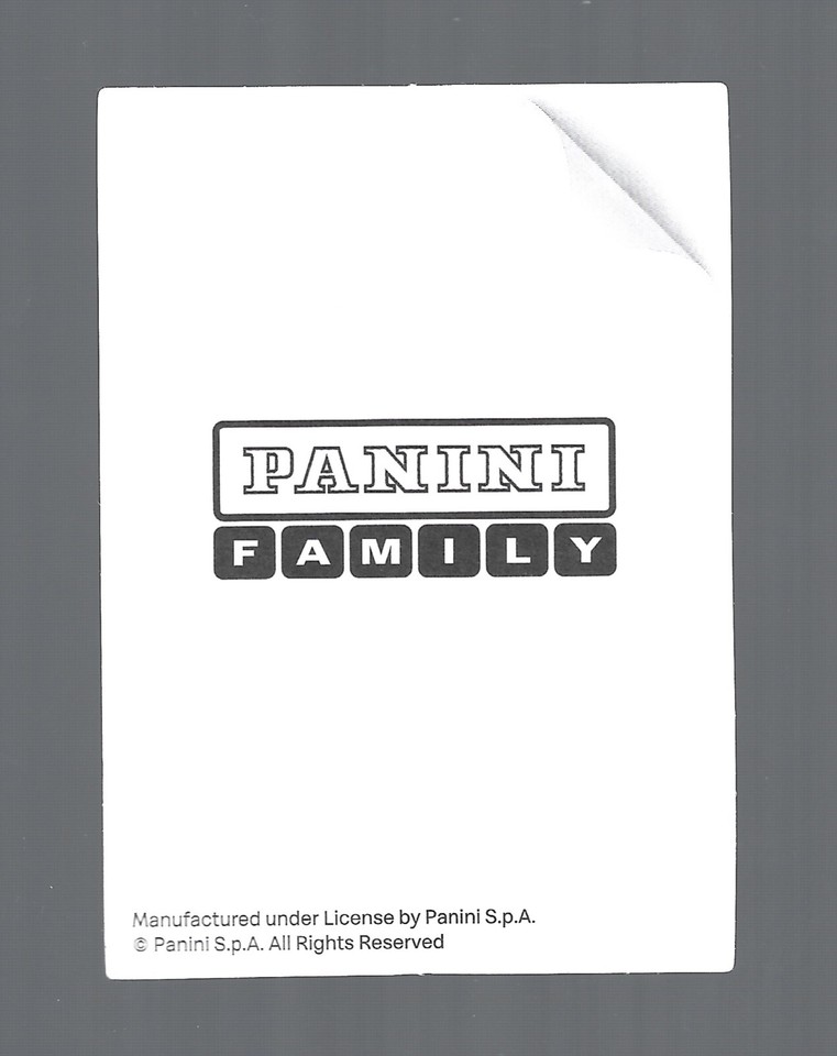 HOLO FOIL Katie Ledecky 2024 McDonalds Panini Family Sticker Happy Meal ...