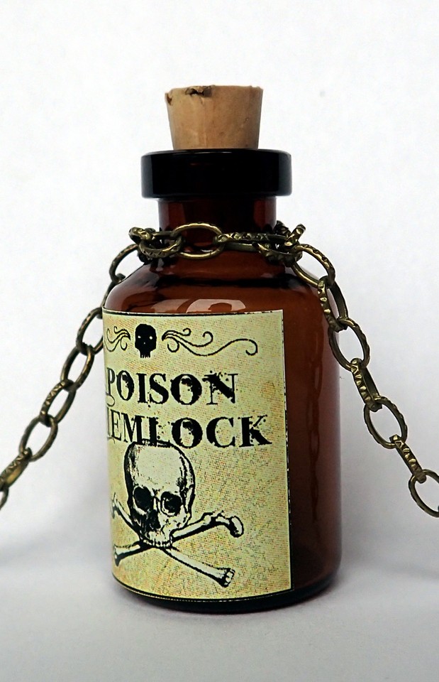 Apothecary Potion Bottle Pendant Poison Necklace Gothic Goth Steampunk ...