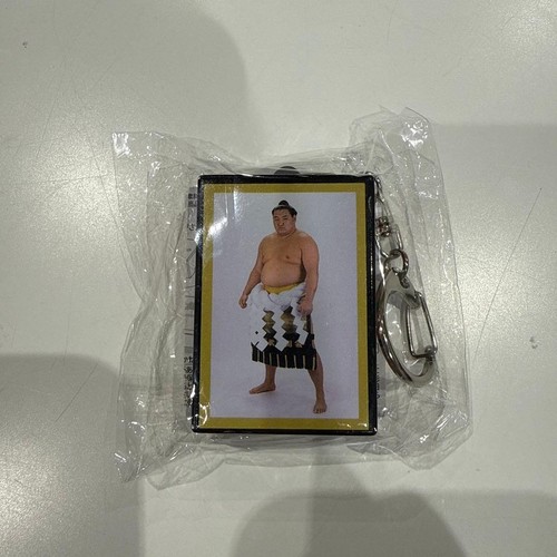 SUMO Rikishi Gacha Earring Cargo Keychain Toyoshoryu | eBay