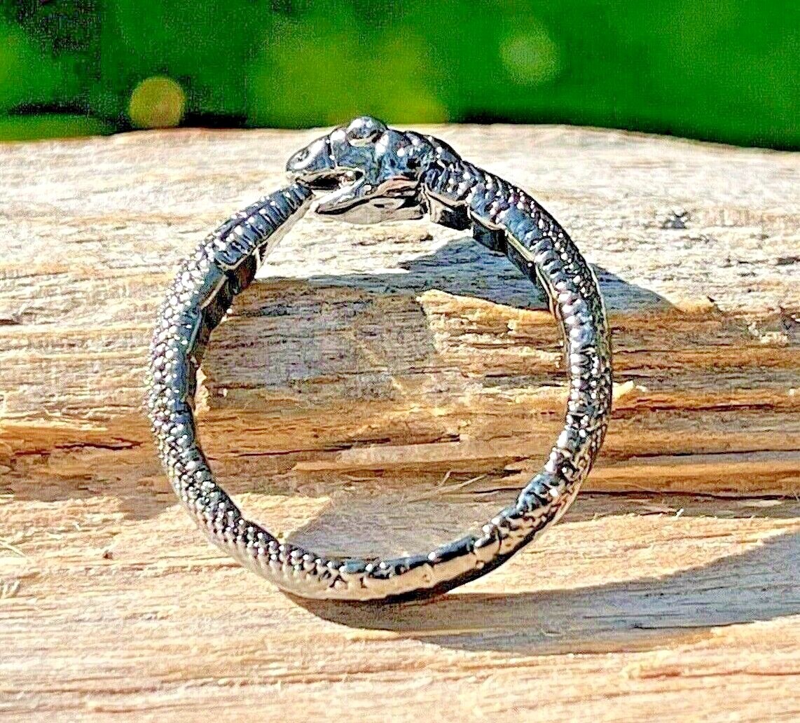 Snakes Eating Themselves Symbol