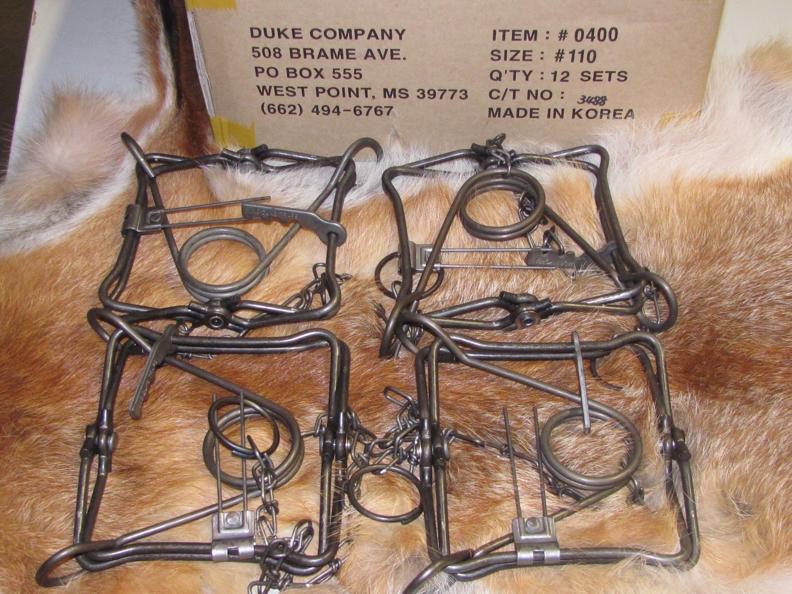 4 New Duke 110 body traps/muskrat/rabbit/mink trapping new sale | eBay