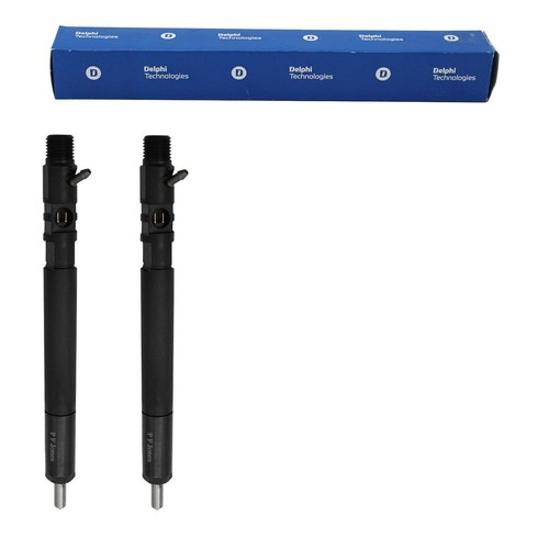 Reman Delphi Injector EJBR04401D HRD346 6650170221 x 2 – 1 Year ...