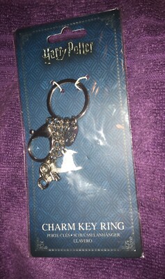 Harry Potter Charm Metal Silver Keyring Keychain - Sorting Hat Glassess ...