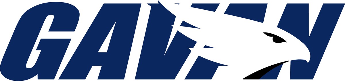 GAVAN Shop | eBay Stores