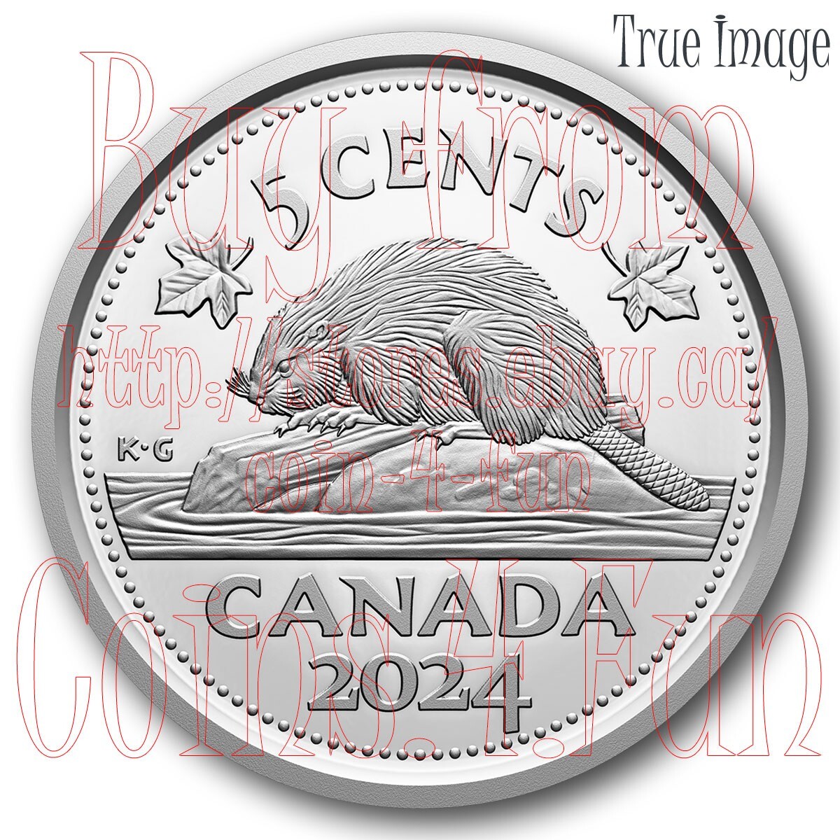 2024 RCAF 100th Anniversary Special Edition Silver Dollar Proof Coin ...