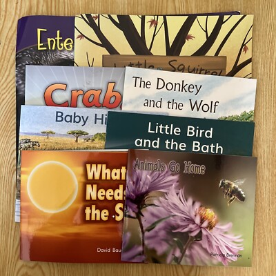 Lot of 8 Rigby Story Books Leveled Readers Early Reading Homeschool | eBay