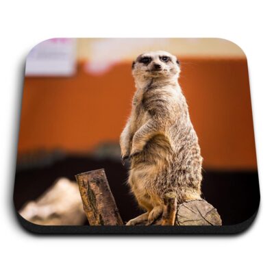 1x Square Fridge MDF Magnet Funny Meerkat Standing Cute Animal #63121 ...