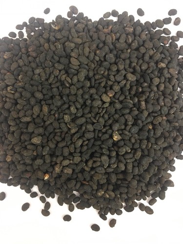 Fructus Psoraleae/ Bu Gu Zhi / Malayrea Scurfpea Fruit 80g Dry Herbs Uk ...