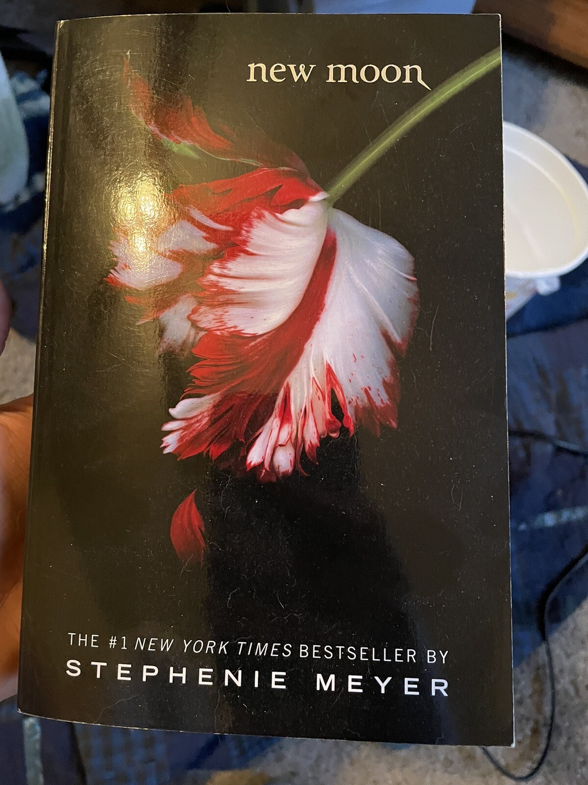 NEW MOON (TWILIGHT SAGA) [Paperback] - Paperback By Stephenie Meyer ...