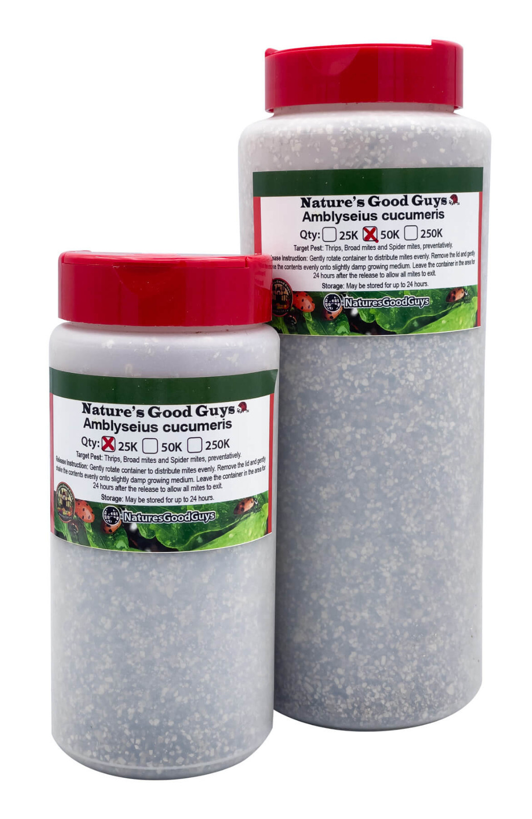 NaturesGoodGuys 250,000 Amblyseius Cucumeris Predatory Spider Mite ...