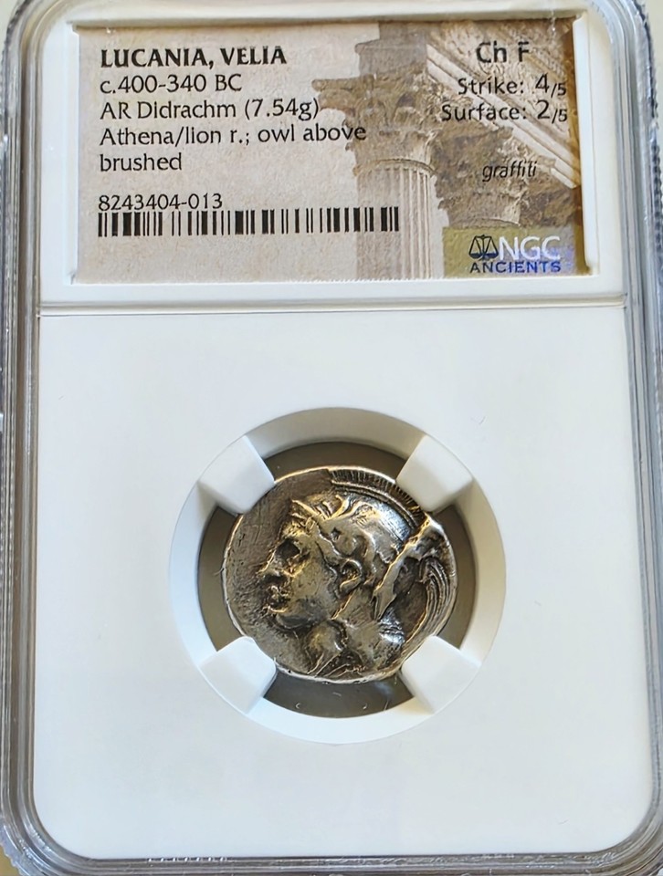 Lucania Vella Athena & Lion Didrachm NGC CH FINE Ancient Greek Coin | eBay
