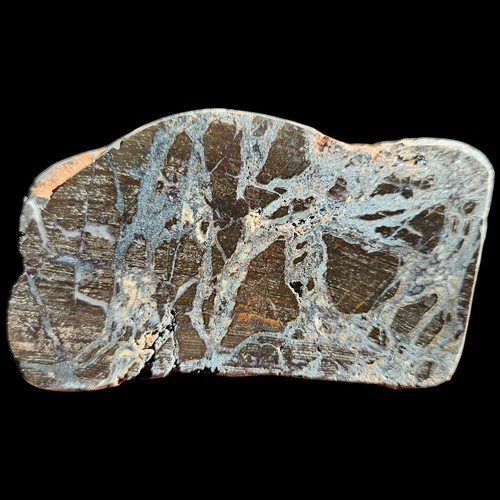 Polished Brecciated Banded Iron Formation w Specular Hematite ...