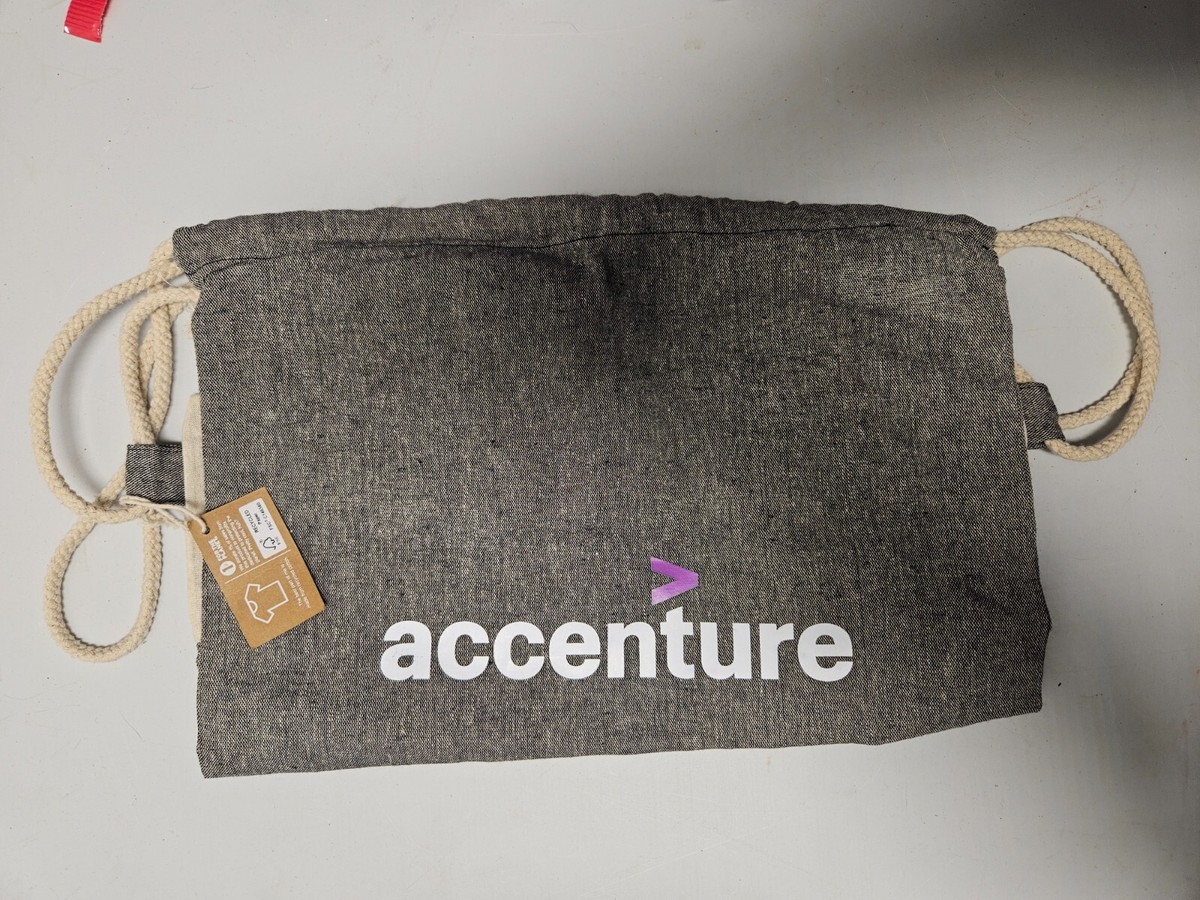 Accenture Silver Logo