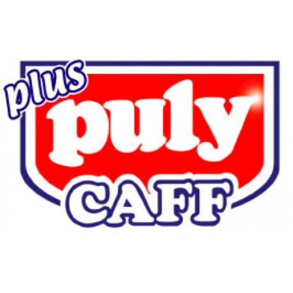 Puly Caff Espresso Machine Cleaner Powder 900g (Pack of 1 Bottle) | eBay UK