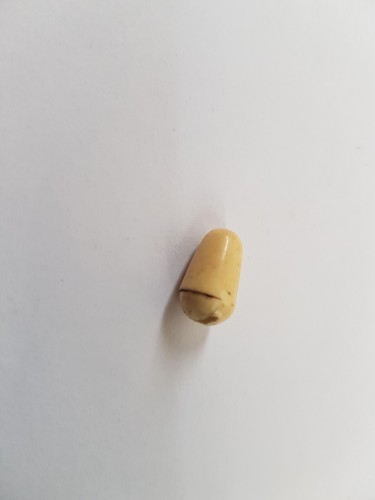 1962 FENDER STRATOCASTER SWITCH TIP USA | eBay