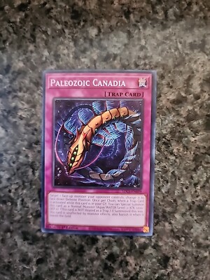 Yugioh! Paleozoic Canadia - SDCS-EN039 - Common - 1st Edition Near Mint ...