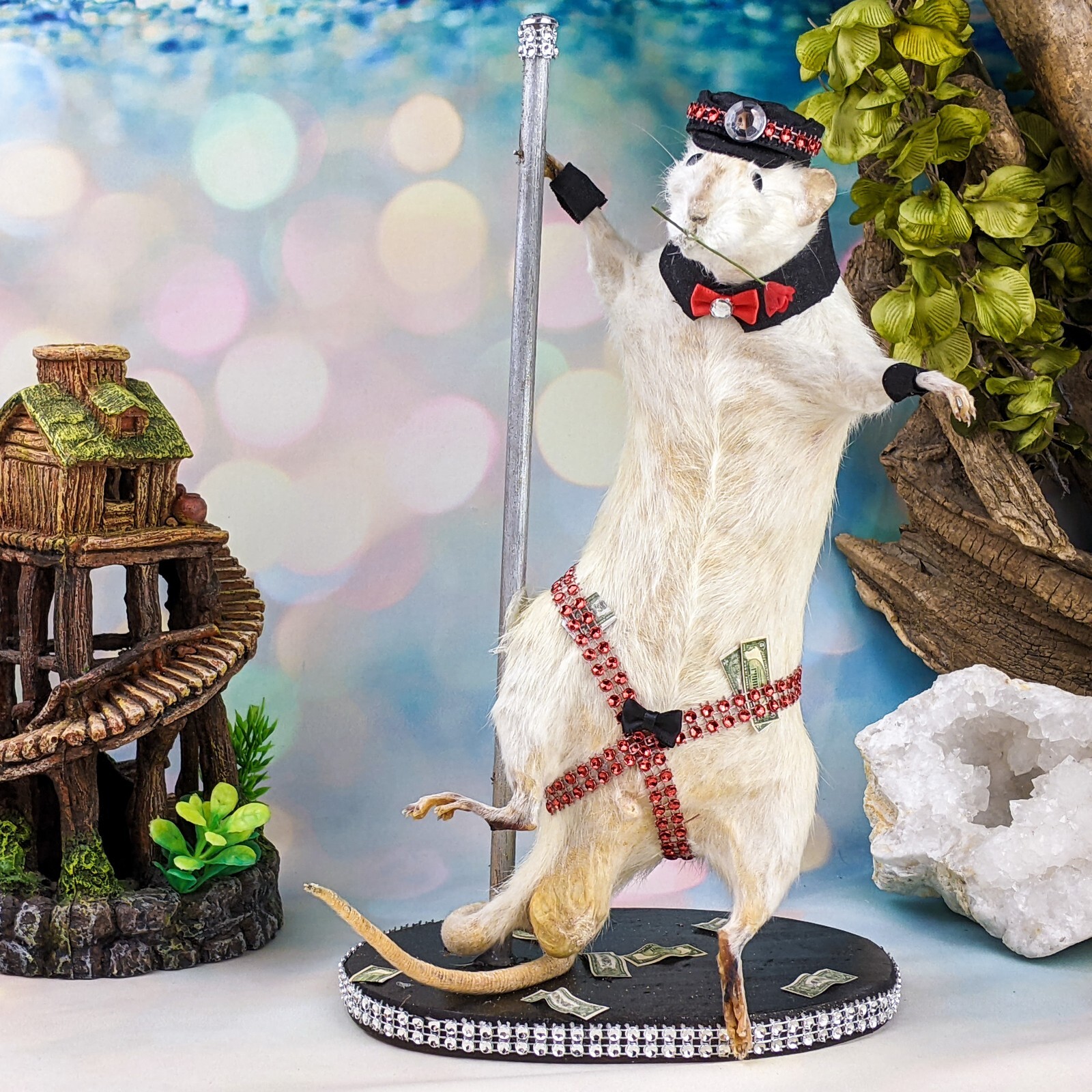 Stripper Rat Pole Burlesque Male Taxidermy Oddities Curiosities Decor ...