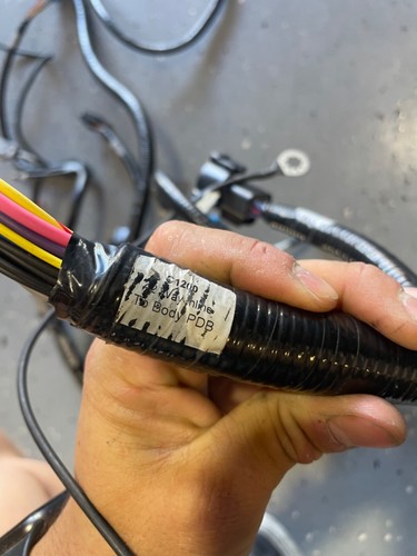 Ford performance boss 302r/s body harness. Pn CM-14A005-FR500D | eBay