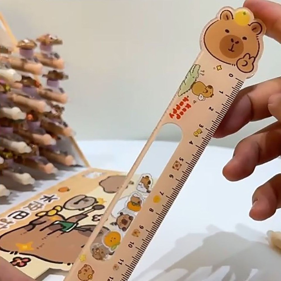 15cm Capybara Ruler Maths Straight Ruler Portable Measure Ruler | eBay