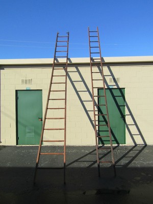 Primitives - Primitive Ladder