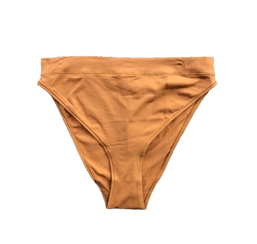 Skims Camel Sz 4X PN-CBR-0272 Brief Panty Nwts High Leg Lightweight ...