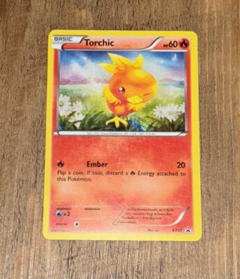 Pokemon Card: Torchic XY37 Black Star Promo Holo Rare! NM | eBay
