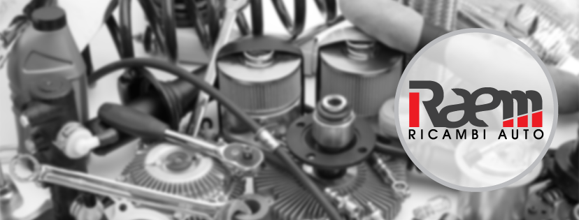 RAEM SRL | eBay Stores