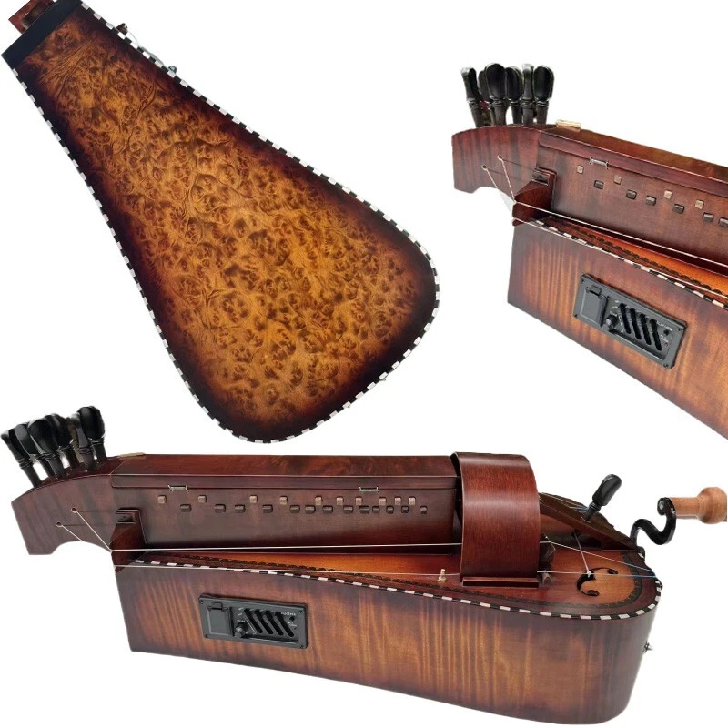 Electric Hurdy Gurdy