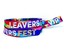 LEAVERS FEST End of School Festival Party Wristbands - Class of 2024 ...