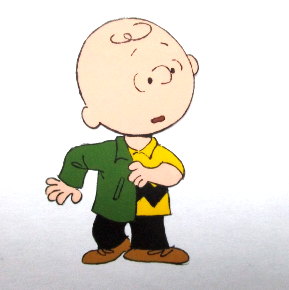 1980's PEANUTS CHARLIE BROWN Charles Schulz ORIGINAL PRODUCTION CEL ...